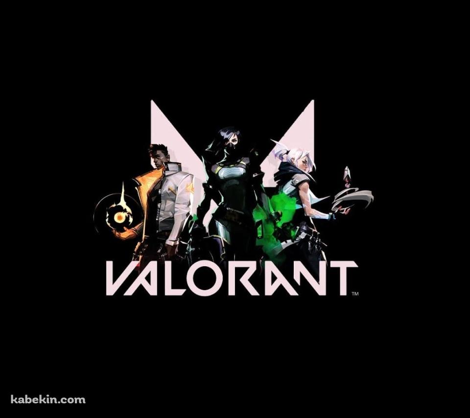 VALORANT 黒のAndroid用のスマホ壁紙(960 x 854)| 壁紙キングダム