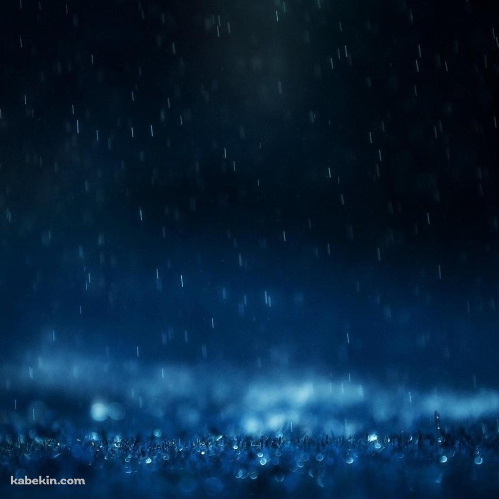 Blue Rain(1024x1024px)のデスクトップPC用の壁紙 | 高画質 | 壁紙キングダム