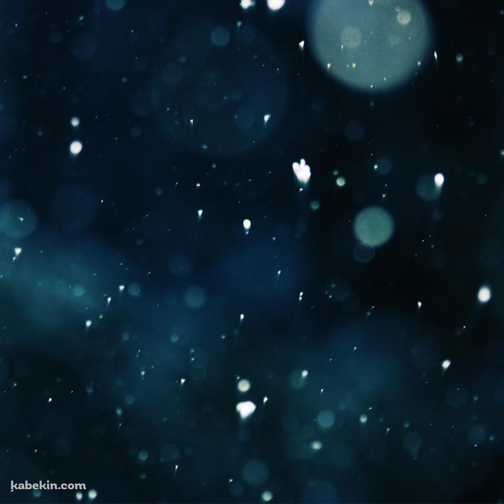 舞い散る雪(1024x1024px)のデスクトップPC用の壁紙 | 高画質 | 壁紙キングダム