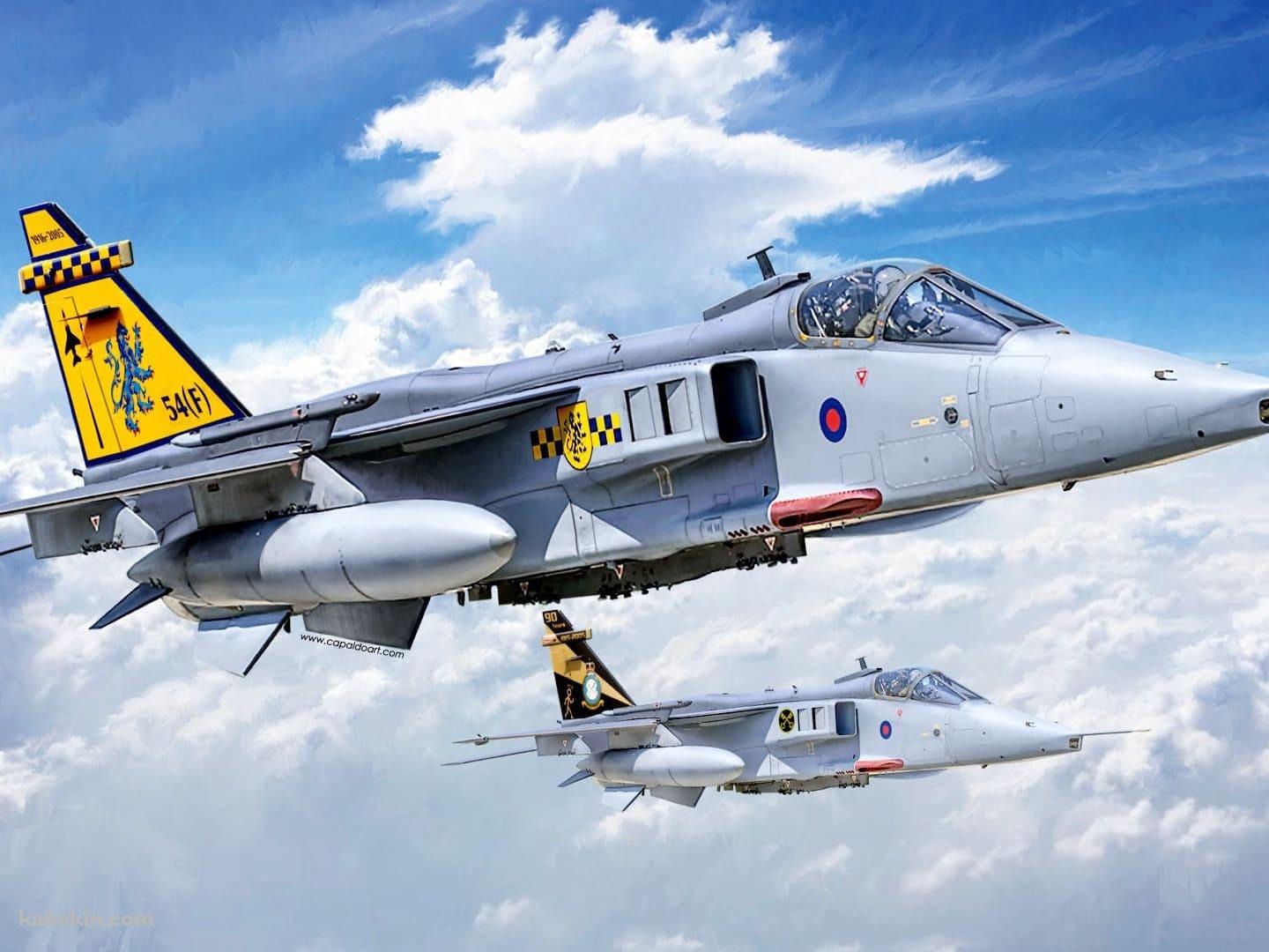 SEPECAT ジャギュア / SEPECAT Jaguar GR Mk3(1440x1080px)のデスクトップPC用の壁紙 | 高画質 ...